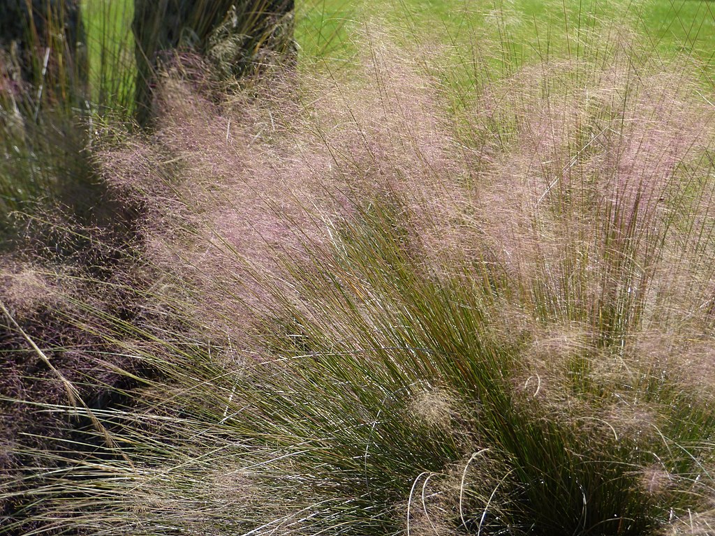 8 Landscaping Tips For Church Grounds: How to Enhance Church Landscaping