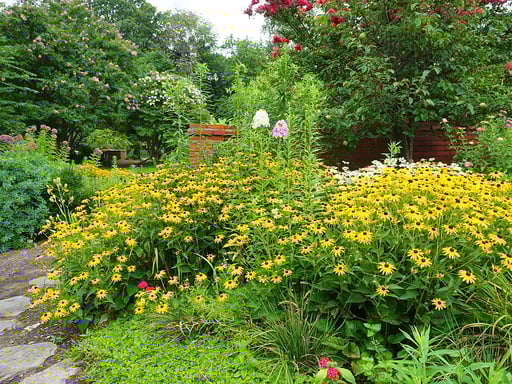 The 15 Best Native Plants (5 Flowers, 5 Shrubs, 5 Trees) for Memphis ...