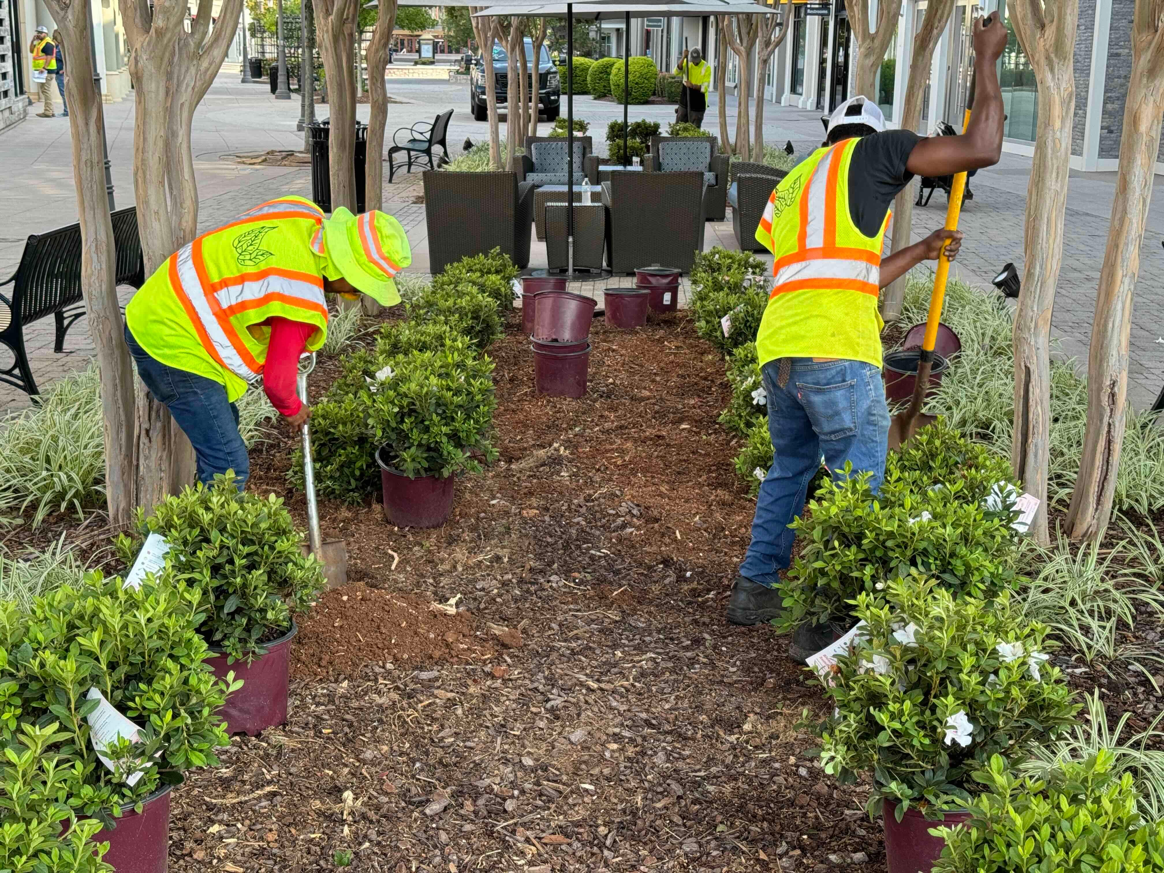 Hatcher Landscape Huntsville