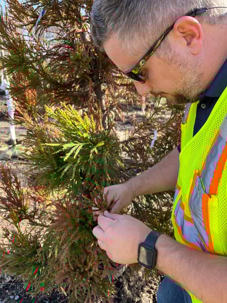 Let Our In House Certified Arborist Help You Manage The Health Of Your