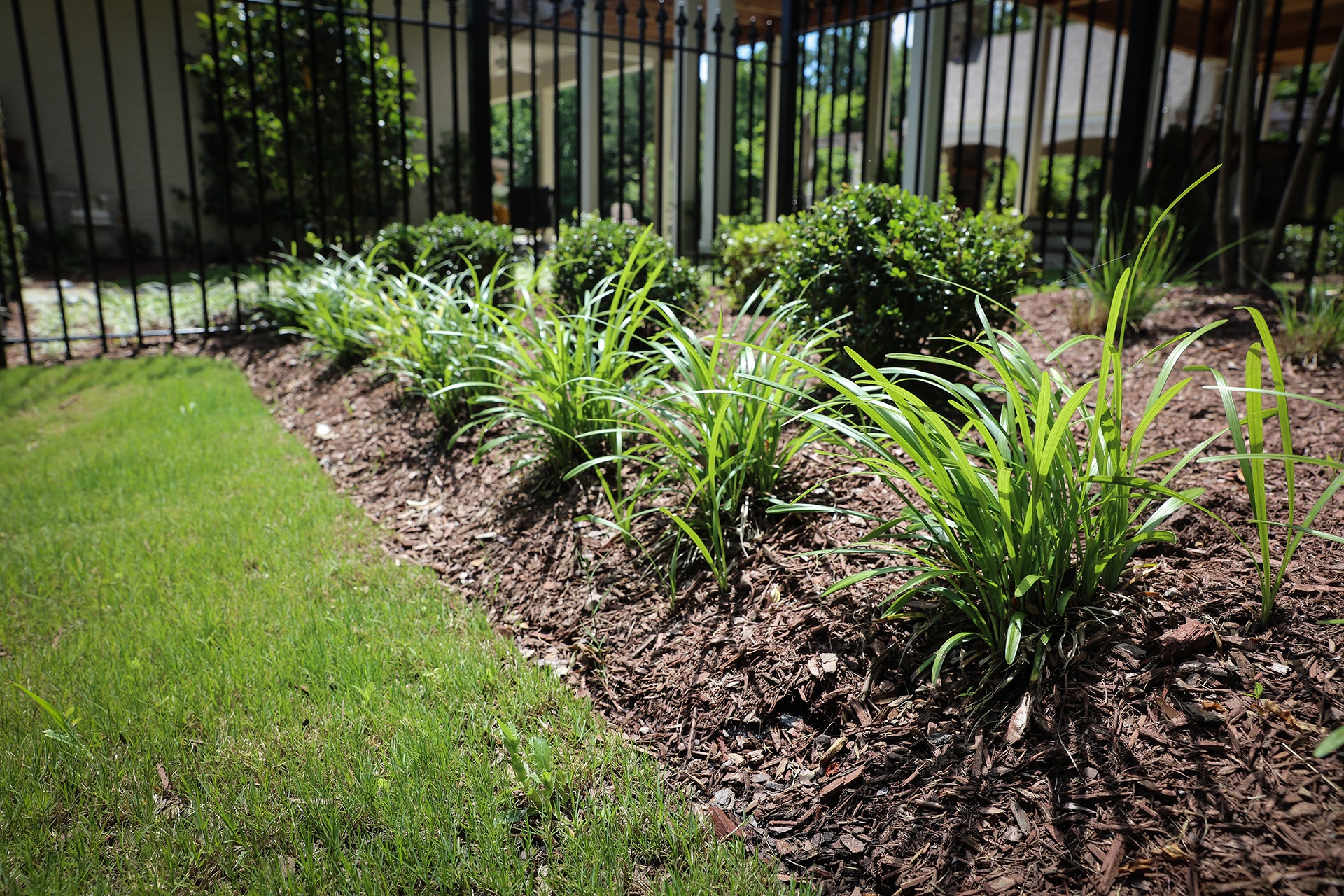 Hatching New Landscape Ideas | Michael Hatcher & Associates | Landscape ...